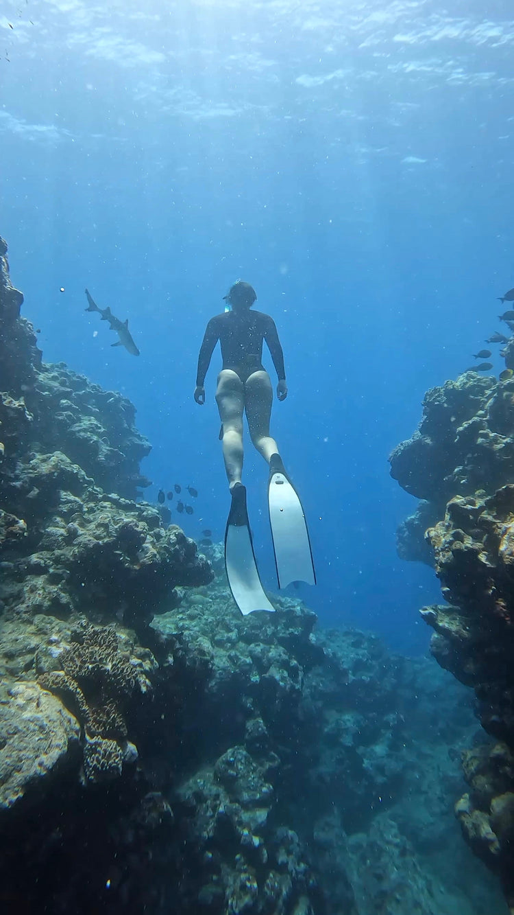 Nelson Bay Freedive & Spearfishing Courses | Salty Pilgrims Freediving